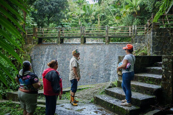 El Yunque Educational Rainforest Walk Easy and Family Friendly - The Sum Up: A Balanced, Authentic Rainforest Experience