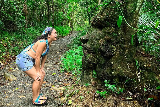 El Yunque for Everyone: Natural Pool & Easy Rainforest Hike - FAQ