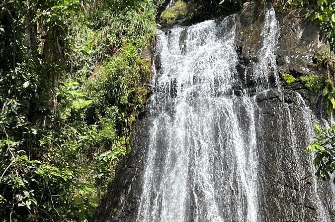 El Yunque Guided Experience! - Final Thoughts: Is This Tour Worth It?