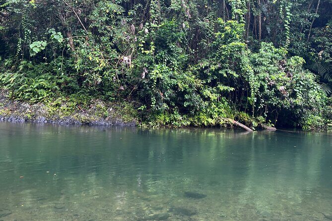 El Yunque National Forest Guided Tour with Transport - Final Thoughts: Who Should Book This Tour?