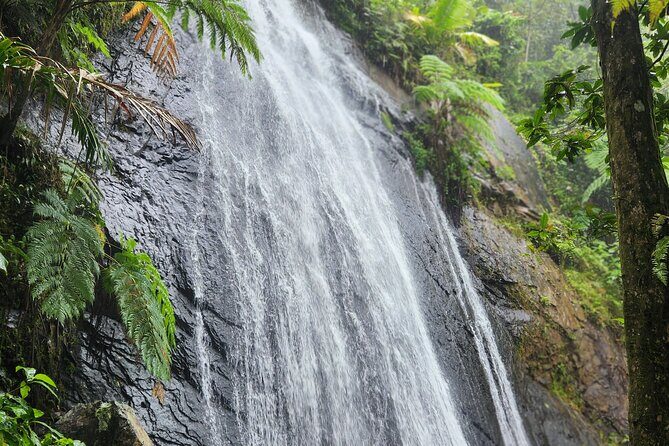 El Yunque National Rainforest and Luquillo Beach Tour - The Balance of Adventure and Relaxation