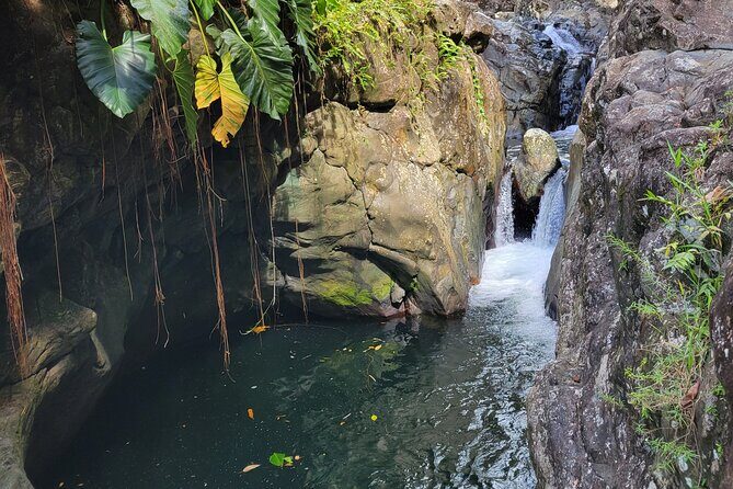 El Yunque Rainforest and Luquillo Kiosk Day Trip - What to Expect from this Puerto Rican Day Trip
