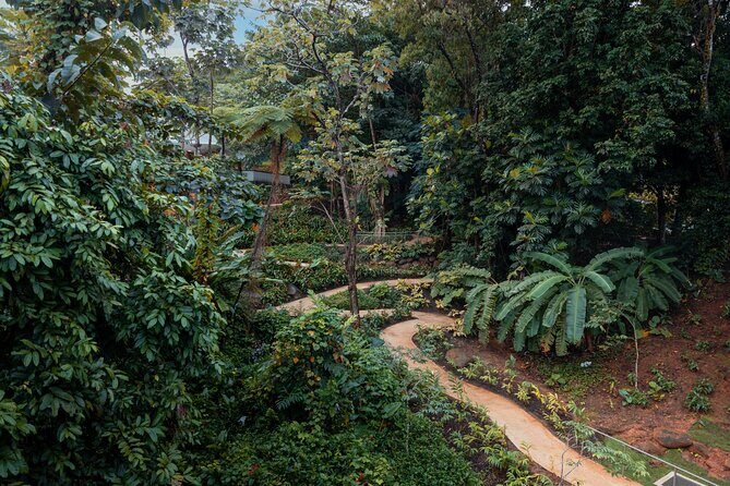 El Yunque Rainforest EZ-going Bus Tour (wheelchair accessible) - An In-Depth Look at the Tour Itinerary