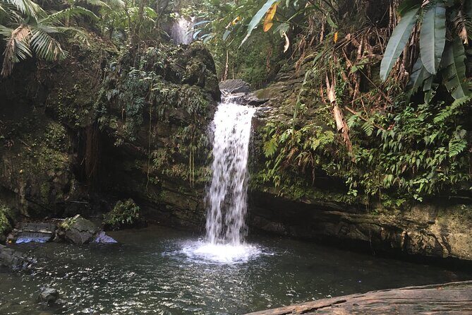 El Yunque Rainforest EZ-going Bus Tour (wheelchair accessible) - Frequently Asked Questions
