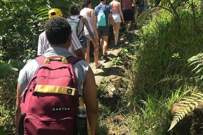 El Yunque Rainforest Guided Day Tour from San Juan - Practical Details: What You Should Know