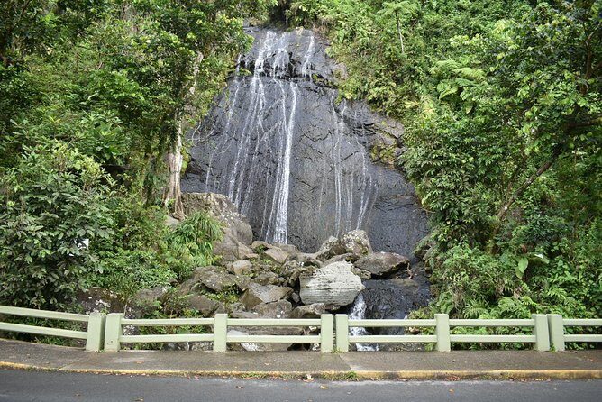 El Yunque Rainforest Guided Day Tour from San Juan - Frequently Asked Questions