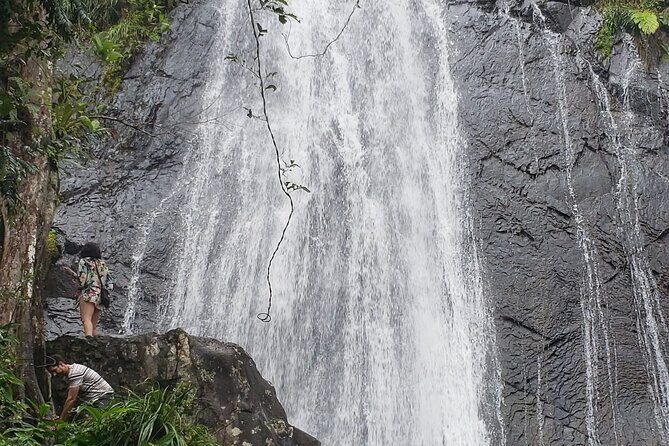 El Yunque Rainforest Guided Tour - Who Is This Tour Best For?
