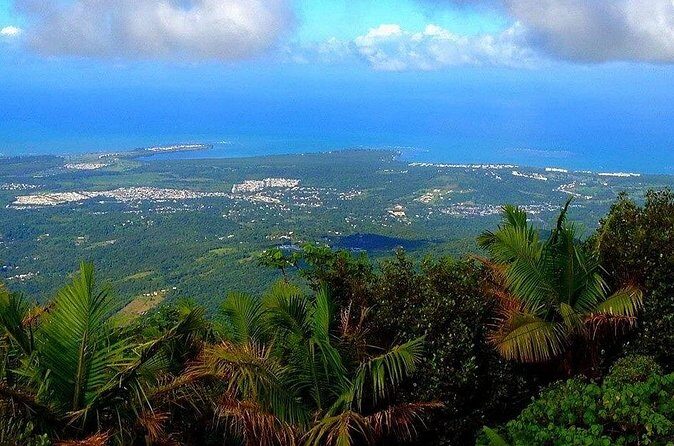 El Yunque Rainforest Guided Tour - Final Word
