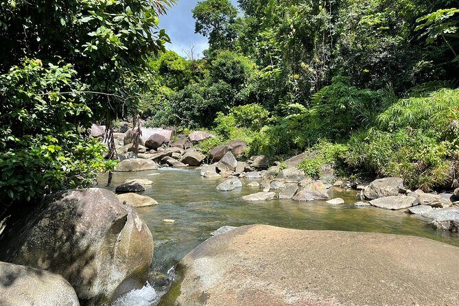 El Yunque Rainforest Hike and Luquillo Beach Tour - What’s Included and What’s Not