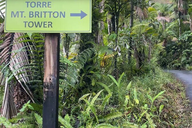 El Yunque Rainforest Hike with Transport from San Juan - What Makes This Tour Stand Out?