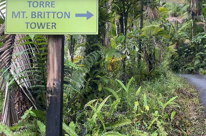 El Yunque Rainforest Hike with Transport from San Juan - Who Is This Tour Best For?