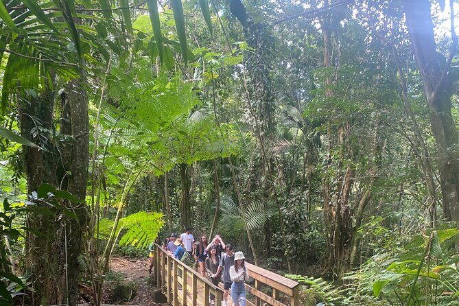 El Yunque Rainforest Hiking Tour from San Juan - Key Points
