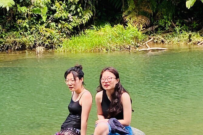 El Yunque Rainforest Hiking Tour from San Juan - The Itinerary Breakdown