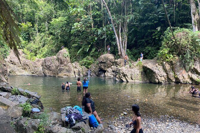 El Yunque Rainforest Morning River and Hike Adventure - The Sum Up