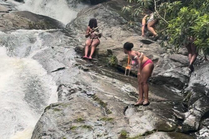 El Yunque Rainforest Party Tour with Waterslide and Rope Swinging - Frequently Asked Questions