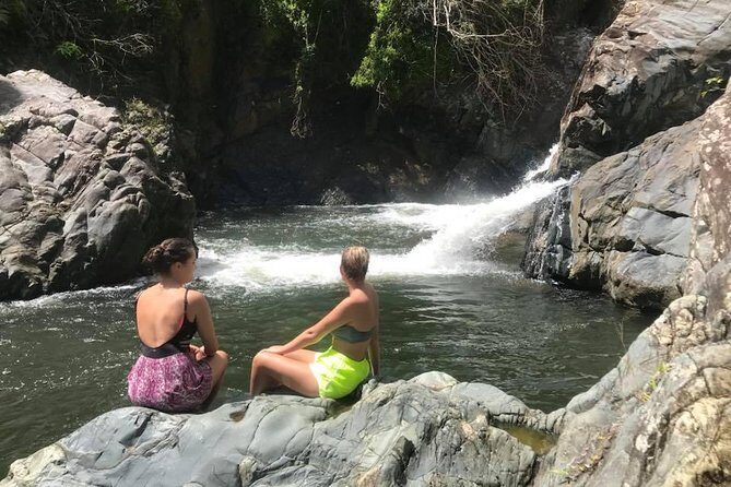 El Yunque Rainforest Tour from Fajardo - What to Expect from the Tour: A Detailed Breakdown