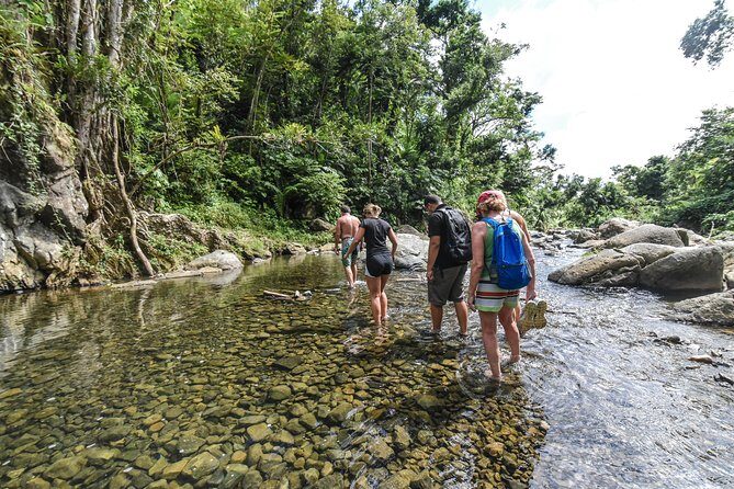 El Yunque Rainforest Tour from Fajardo - Final Thoughts: Is This Tour for You?