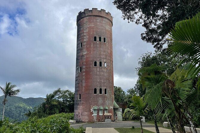 El Yunque Rainforest VIP Experience - Key Points