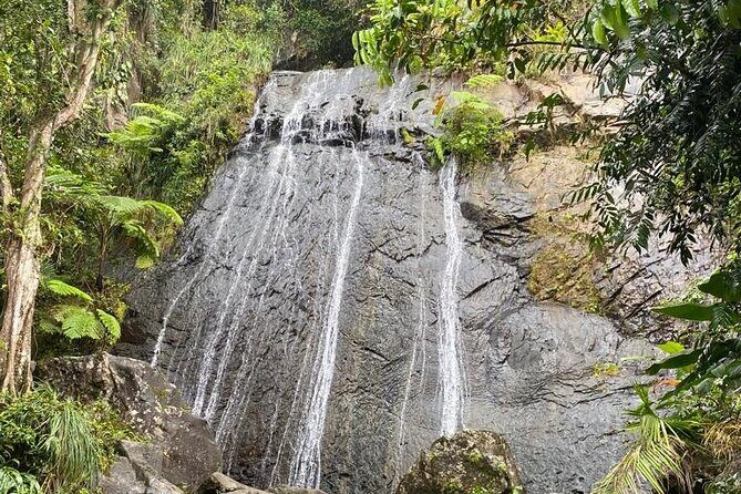 El Yunque Rainforest VIP Experience - An In-Depth Look at the El Yunque Rainforest VIP Experience