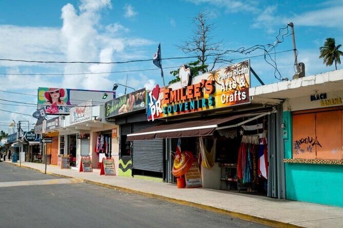 El Yunque Rainforest Waterslides and Luquillo Beach Tour - Who Will Love This Tour?