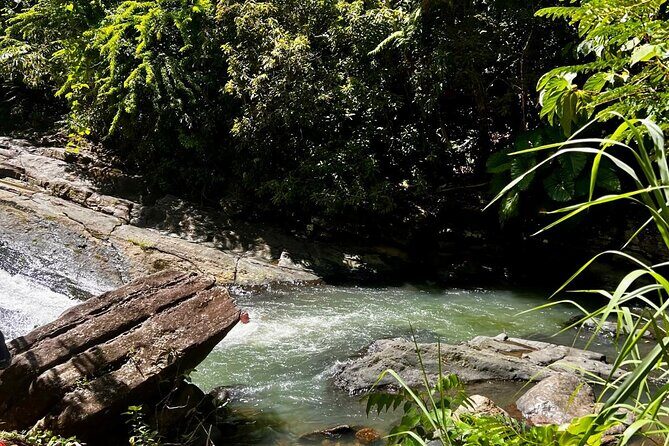 El Yunque Rainforest Waterslides and Luquillo Beach Tour - Discovering the Excitement of Las Pailas Waterslides