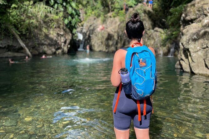 El Yunque Small Group Tour with Luquillo Lunch Stop and Transport - Analyzing the Value: Is It Worth It?