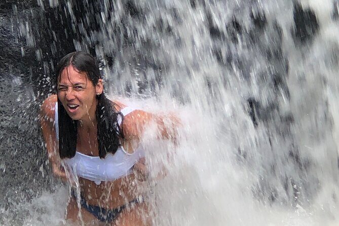 El Yunque: Waterslide and Plus Beach Round Trip - Who Would Love This Tour?