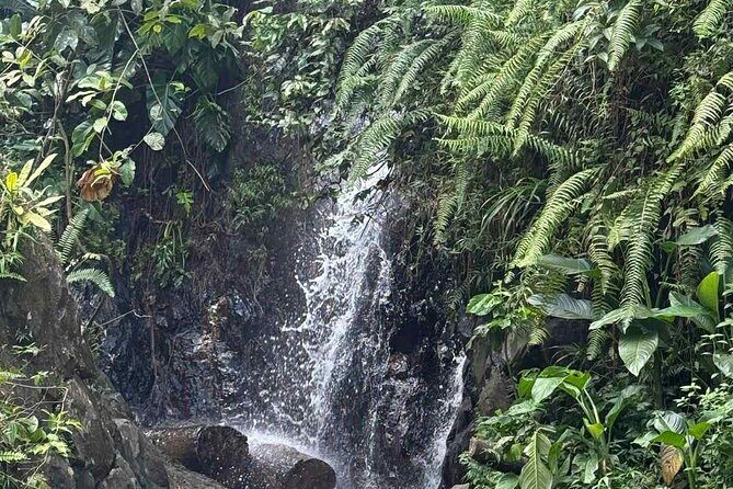 El Yunque Waterslides, Jumps, swing! small business owner:) - Practical Tips for Travelers