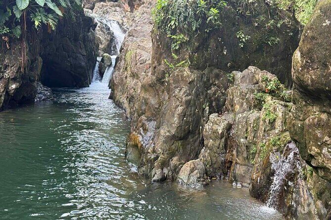 El Yunque Waterslides, Jumps, swing! small business owner:) - Who Should Book This Tour?