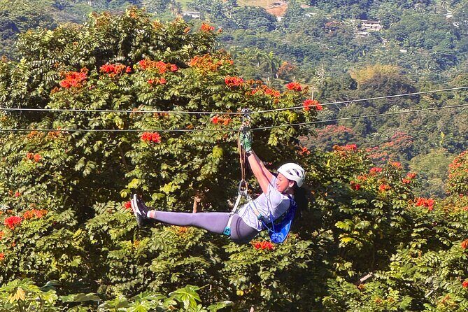 El Yunque Ziplining in Puerto Rico - Scenic Highlights and Unique Features