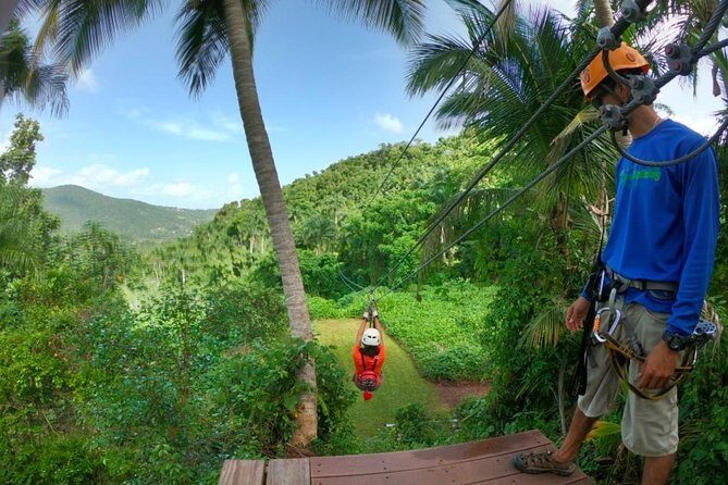 El Yunque Ziplining in Puerto Rico - The Sum Up