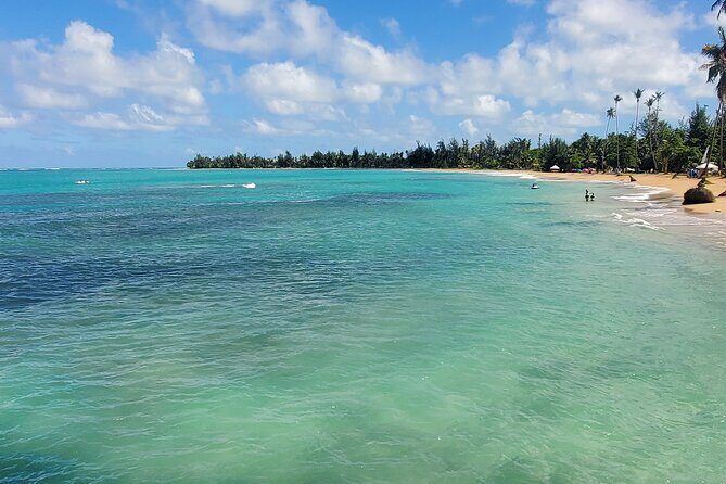 El Yunque Ziplining with River and Beach Visit - Introduction: A Day of Adventure in Puerto Rico