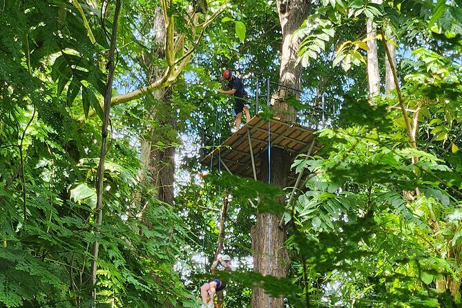 El Yunque Ziplining with River and Beach Visit - Transportation and Group Size