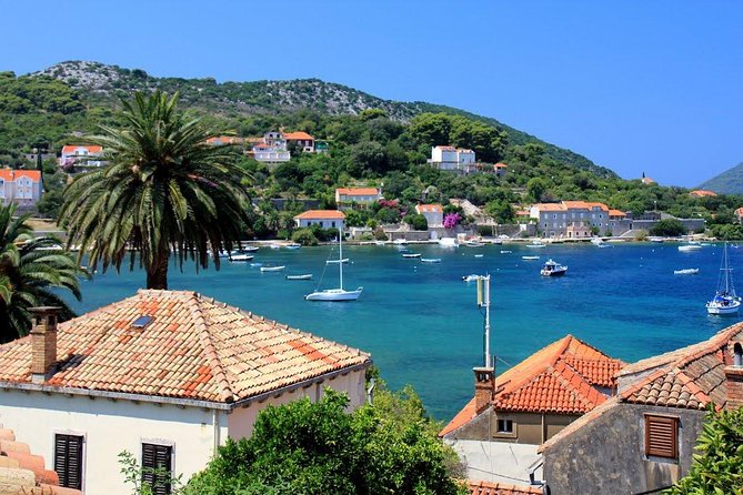 Elafiti Islands Private Tour With Fisher 20 Speedboat - Customer Testimonials