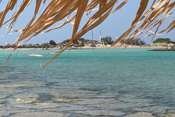 Elafonisi Beach: Welcome to Paradise, From Rethymnon - Key Points
