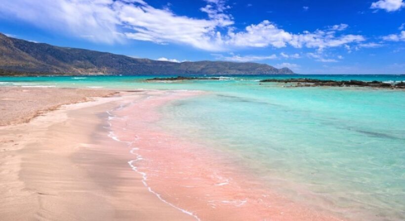 Elafonisi Island Day Tour by Bus From Rethymno - What Reviewers Say: Authentic Experiences and Caveats