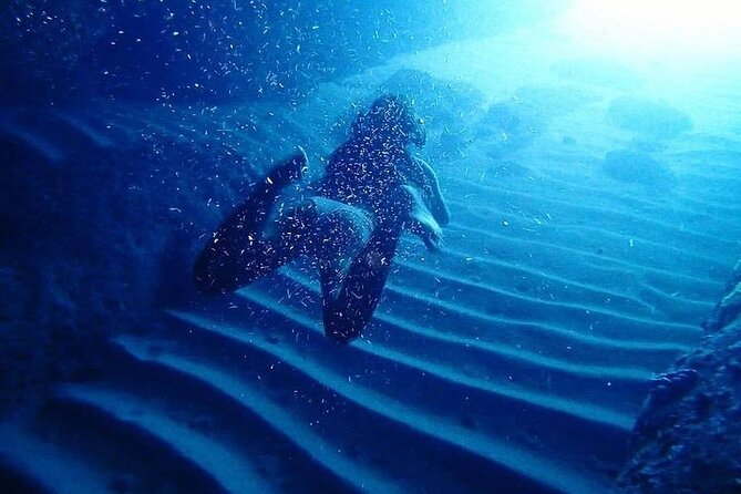 Elaphite Islands - Full-Day Kayaking and Snorkeling Tour - What to Expect