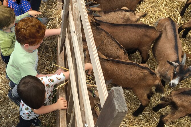 Elba Island Farmhouse tasting experience - The Sum Up: A Simple Yet Satisfying Elba Experience