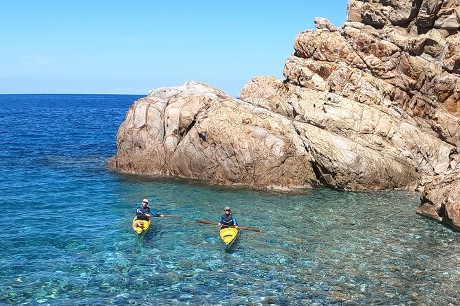 Elba Island Full Day Sea Kayak Tour - Participant Information