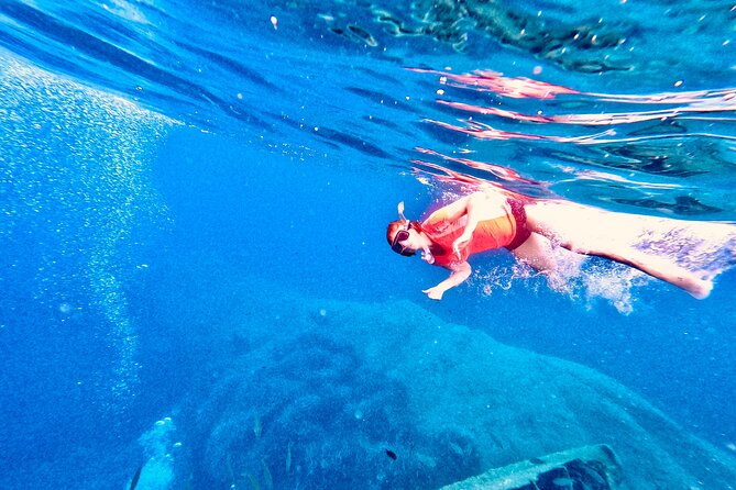 Elba Island Full Day Sea Kayak Tour - Exploring the Coastline