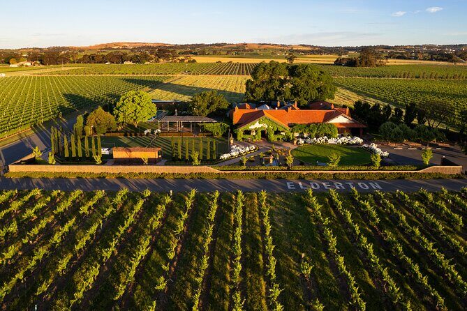 Elderton Chocolate And Wine Matching - An Introduction to the Experience