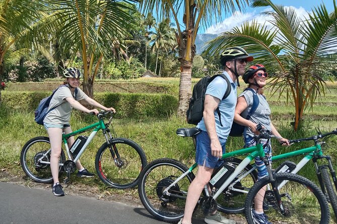 Electric bicycle tour in Jatiluwih UNESCO site - Electric Bicycle Tour in Jatiluwih UNESCO Site: A Detailed Review