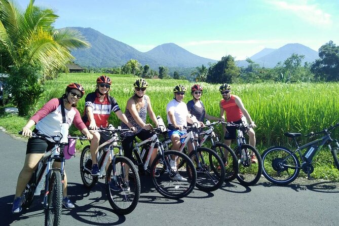Electric bicycle tour in Jatiluwih UNESCO site - Why Choose This E-Bike Tour?