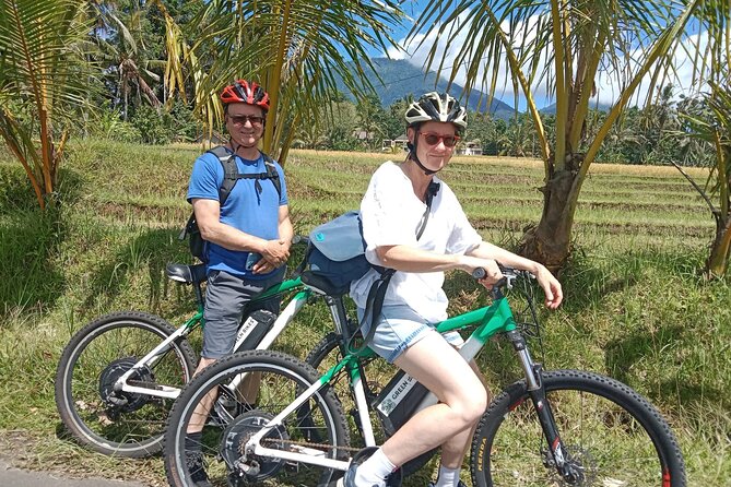Electric bicycle tour in Jatiluwih UNESCO site - What’s Included and What to Keep in Mind