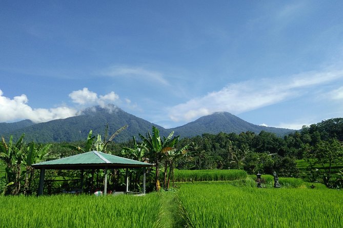Electric bicycle tour in Jatiluwih UNESCO site - The Sum Up: Who Will Love This Tour?