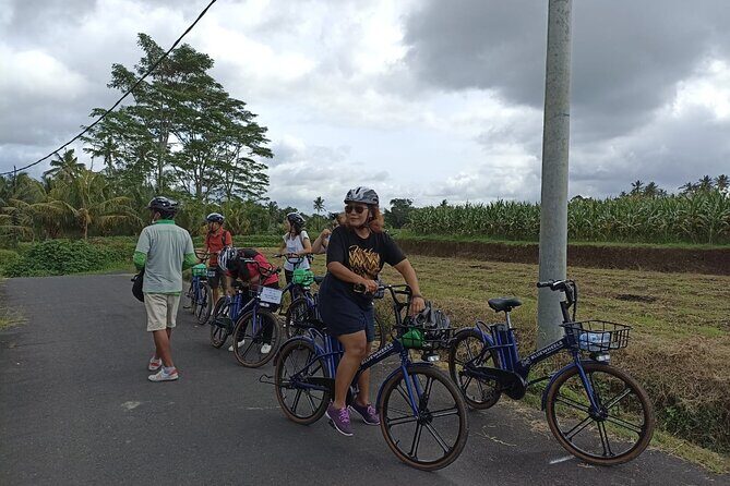 Electric bicycle tour in quaint South Ubud - The Sum Up: Who Should Consider This Tour?