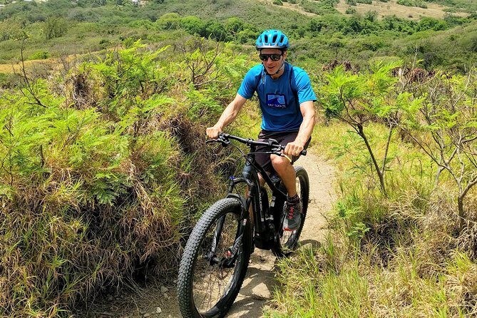 Electric Bike Bajan Sightseeing Experience (Transport Included) - Who Will Love This Tour?