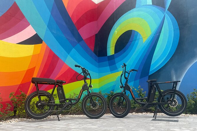 Electric Bike Day Rental - FAQs