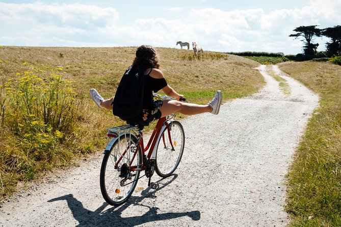 Electric bike excursion in Camargue - Practical Details and Value