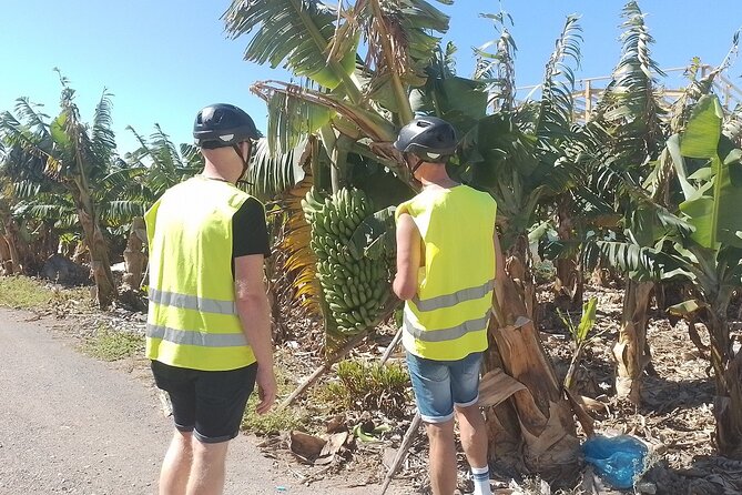 Electric Bike Panoramic South Coast Tour Optional Fishing Tapas - Who Will Love This Experience?